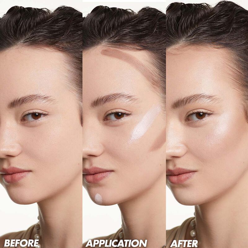 HD SKIN SCULPTING PALETTE Cream Contour and Highlight Palette – WestJet ...